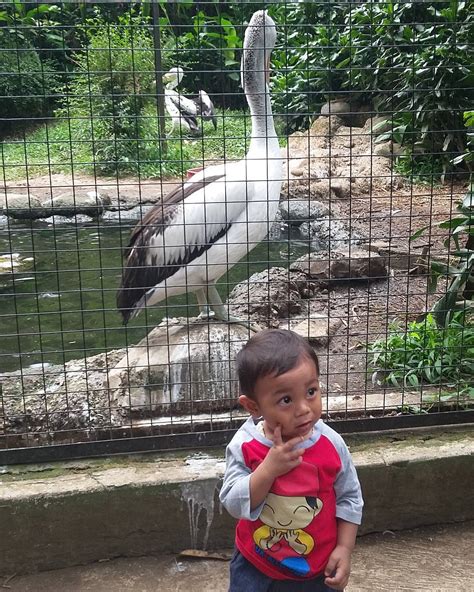 Wahana Rekreasi Keluarga Kebun Binatang Bandung