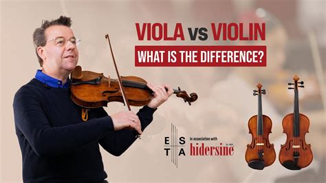 Viola Vs Violin Whats The Difference Explained By Leading String