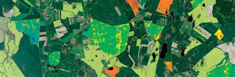 Airbus Intelligence Biophysical Parameters