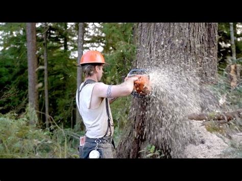 Dilley Soloman Logging Forks WA YouTube