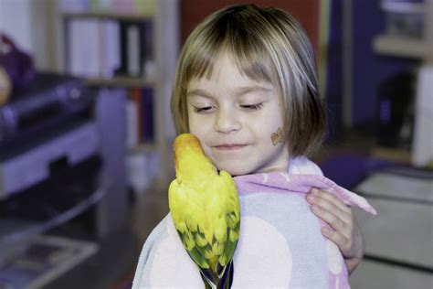 Rescue Unwanted And Abandoned Companion Birds Globalgiving