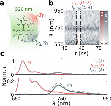 Tg Fts Disentangles Phosphorescence And Fluorescence From Rb At 77 K A
