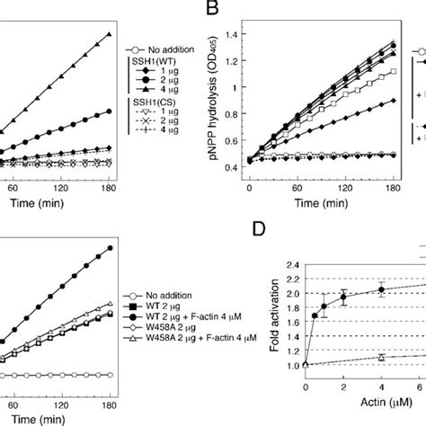 Effects Of F Actin On The Pnpp Phosphatase Activity Of Ssh1