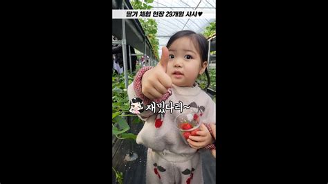 딸기체험♥ 재밌다리~ 29개월 육아브이로그 Youtube