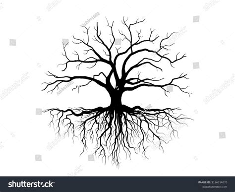 Dead Oak Tree Drawing