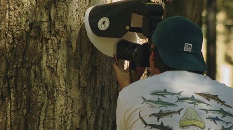 This Photographer Has A Distinctive Niche Portraits Of Bugs