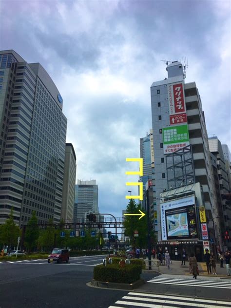 新宿で美容鍼も得意な鍼灸院は本日も営業します！ ｜ 新宿の女性鍼灸師が鍼灸・美容鍼を行うお灸の里鍼灸院