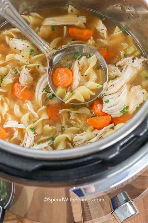 Instant Pot Chicken Noodle Soup Spend With Pennies
