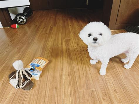오사 On Twitter 헐 천러가 대갈이한테 모자 사줫나봐 대갈이 미모 ㅈㄴ 에바임 내가 아는 강하띠 중에 제일 예쁨 다른
