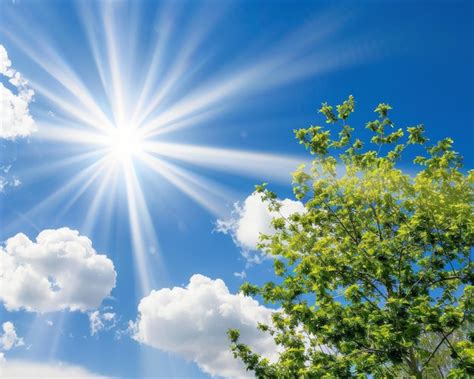 Bright Sunlight Filtering Through Trees On A Fresh Spring And Summer Sky Background Premium AI