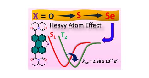 Ultrafast Intersystem Crossing In Selenium Annulated Perylene Bisimide The Journal Of Physical