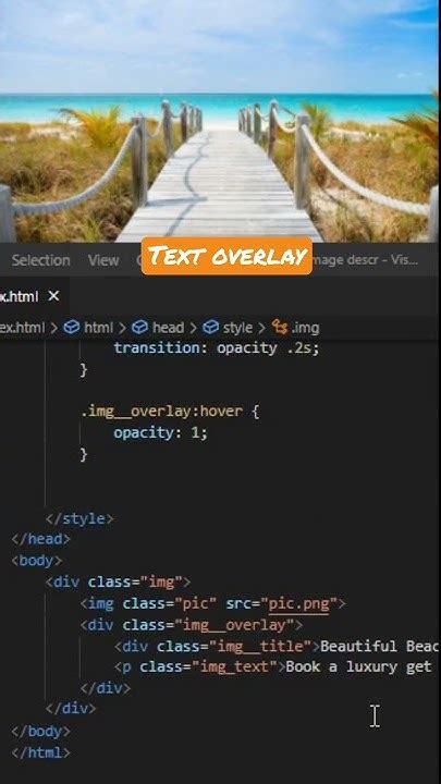How To Make Image Hover Text Overlay Html Css Youtube