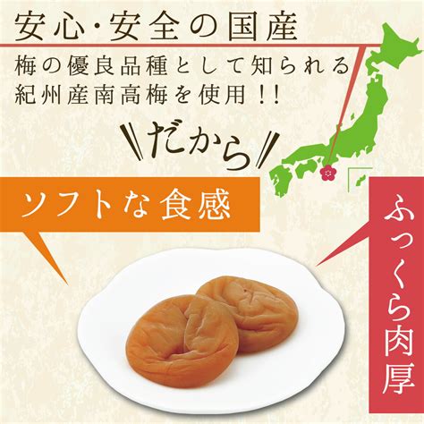 【楽天市場】中田食品 種ぬきほし梅 和歌山県産 紀州南高梅 120g おやつ お菓子 個包装 干し梅 ほし梅 梅 梅干 梅干し 梅ぼし 国産