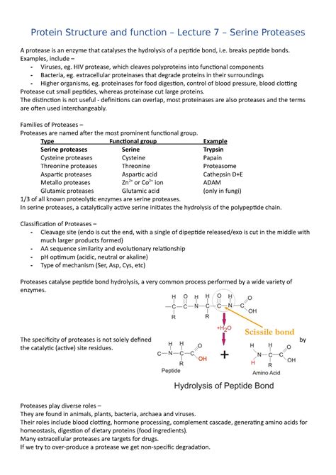 Protein Structure And Function Lecture 7 Protein Structure And Function Lecture 7 Serine