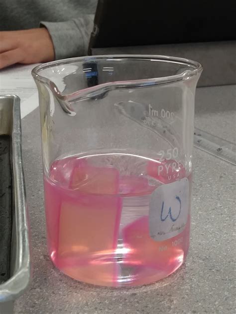 Agar Cube Lab Cell Transport And Diffusion Patryks Blog