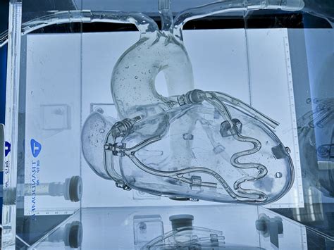 悬浮式PCI冠脉手术模型 宁波创导三维医疗科技有限公司 血管介入模型 内窥镜