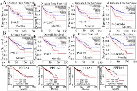 PPFIA1 PPFIA2 PPFIA3 And PPFIA4 Prognostic Value In CRC Patients A