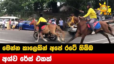 මෙන්න කාලෙකින් අපේ රටේ තිබ්බ අශ්ව රේස් එකක් Hiru News Youtube