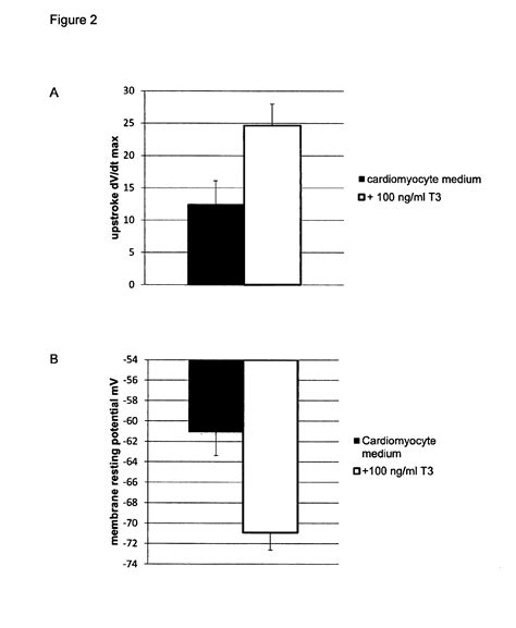 Culture Medium Composition For Maturating Cardiomyocytes Derived From Pluripotent Mammalian Stem