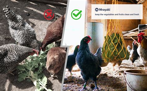4pcs Chicken Vegetable String Bag Poultry Fruit Holder