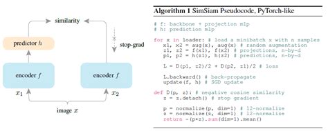 Review — Simsiam Exploring Simple Siamese Representation Learning By