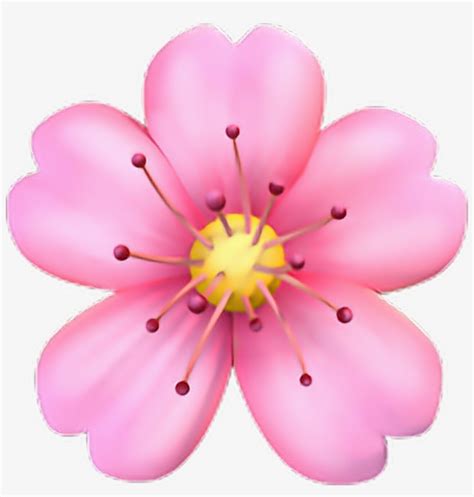 Ios Flower Emoji Png Best Flower Site