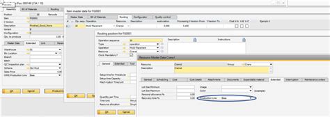 Beas Wms Select Automatically Wms Production Line And Wms Output Bin Location Fields At The