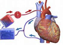 心肌标志物的临床应用 MedSci cn