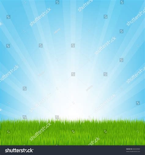 Field Grass Vector Illustration Stock Vector 84034969 Shutterstock