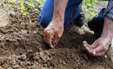 Iglesia Cuando La Pequeñez No Es Insignificante Portaluz