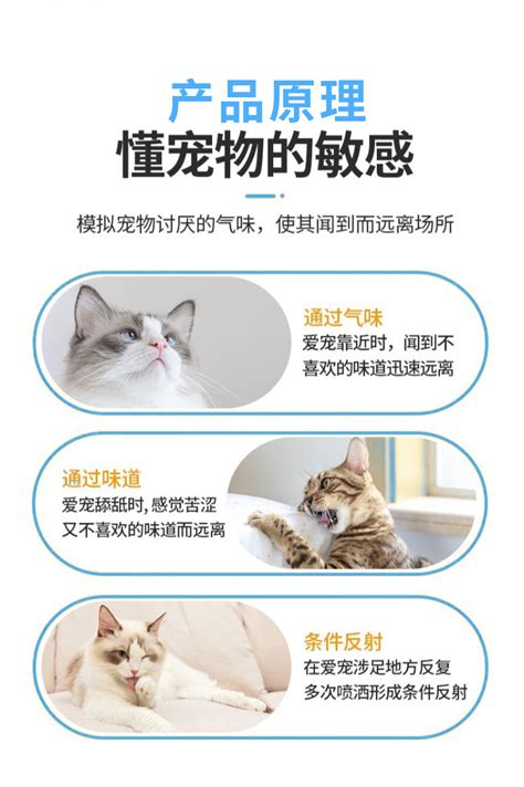 橘子味喷雾驱猫狗神器室内防止猫咪上床禁区喷雾猫讨厌的气味批发 阿里巴巴