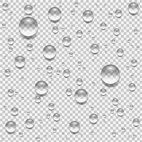물 비 이슬 또는 스플래시 샤워 방울 투명 배경에 고립 프리미엄 벡터