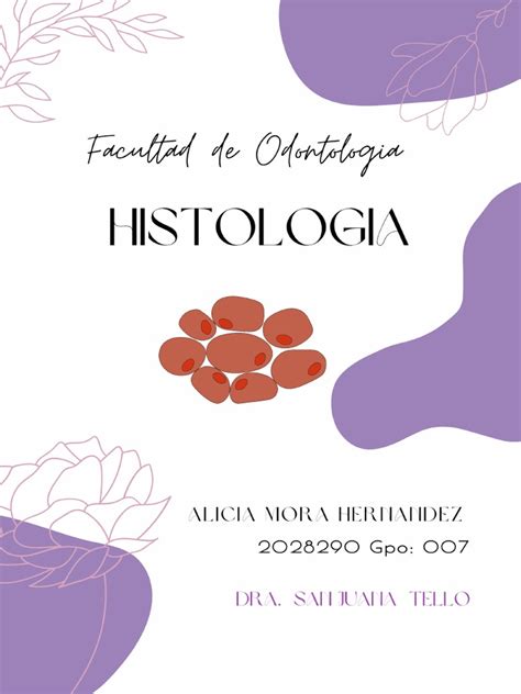 2 Parcial Embriologia 2 Pdf