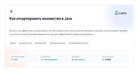 Как отсортировать множество в Java Labex