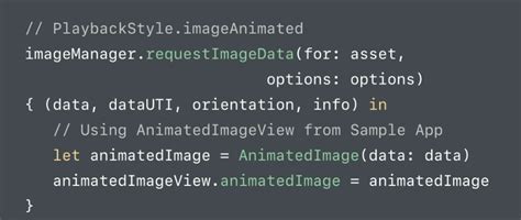 objective c iOS에서 애니메이션 표시 리뷰나라