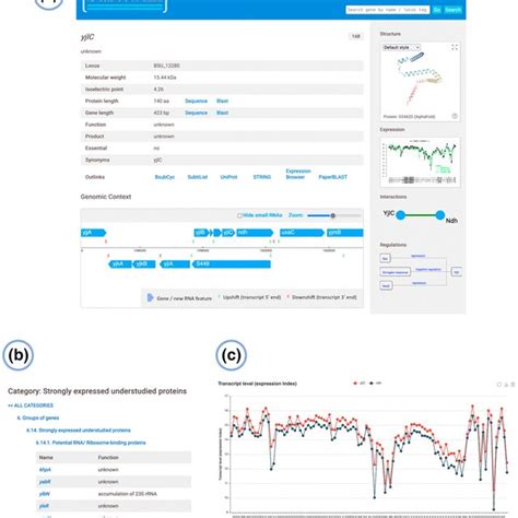 Integration Of Information On Bacillus Subtilis Genes And Proteins In Download Scientific