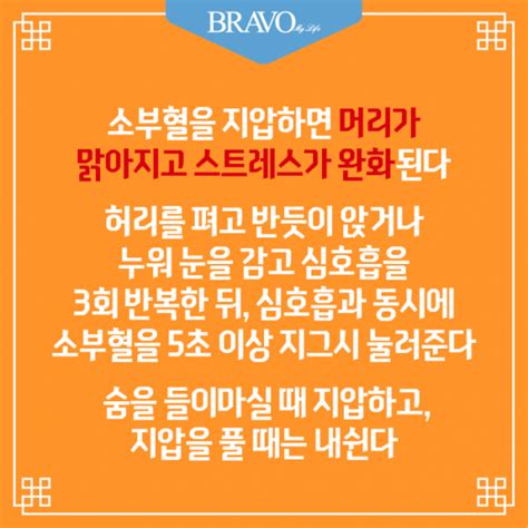 [카드뉴스]명절 증후군 이겨내는 지압법 브라보 마이 라이프