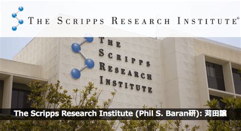 ウルマンエーテル合成 Ullmann Ether Synthesis Chem Station ケムステ