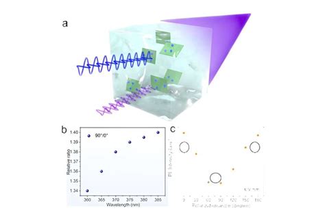 The Marriage Of 2d Materials And 0d Quantum Dots Ideas And Discoveries