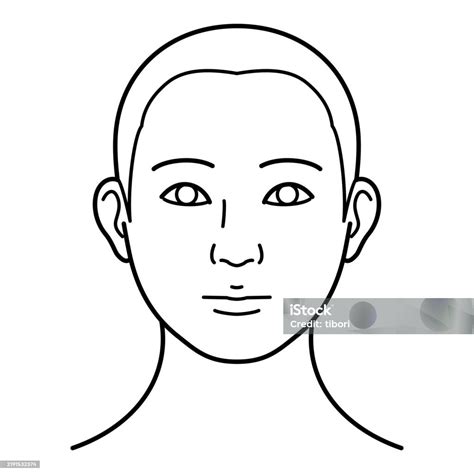 人間の頭のモデル坊主頭アウトライン正面図ベクトル ファイル セットモノクロ イラスト イラストレーションのベクターアート素材や画像を多数ご