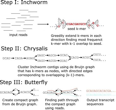Chapter 6 Transcriptomics Applied Bioinformatics