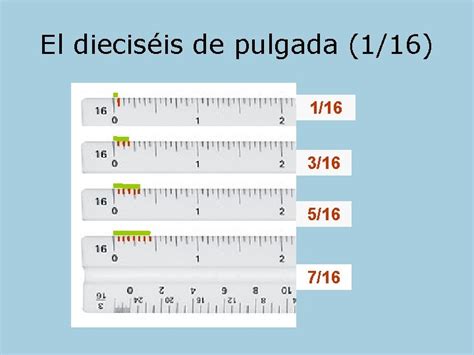 Partes De Una Pulgada Universidad Politécnica Hispano Mexicana Tmbi