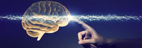 O Que é Neurociência Portal