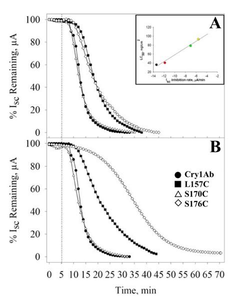 Voltage Clamping Analysis Panel A Wild Type Cry1ab Protein And