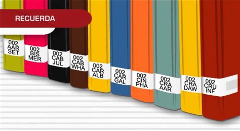 Registro Sellado Y Signatura Oposiciones Bibliotecas YouTube