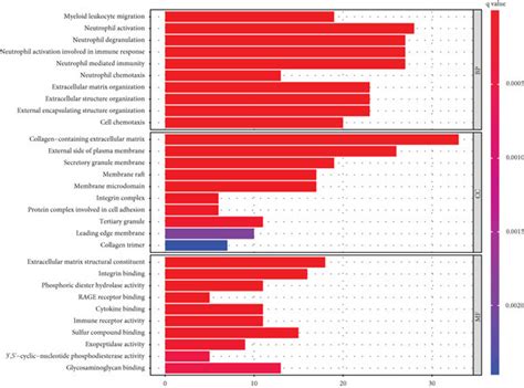 Functional Enrichment Analyses Of Degs A Gene Ontology Go