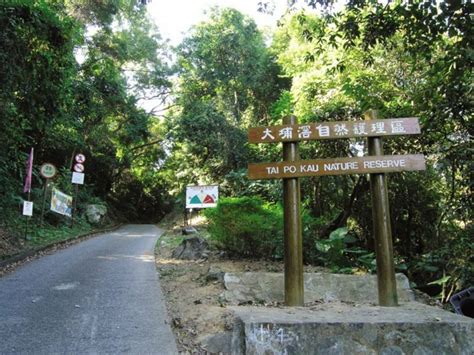 7條適合女士超輕鬆行山徑 GOGOAdvise Travel 旅遊日記