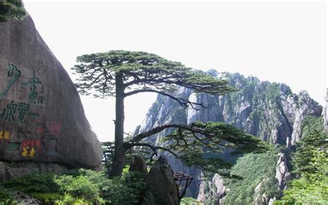 武夷山九曲溪景區 每日頭條