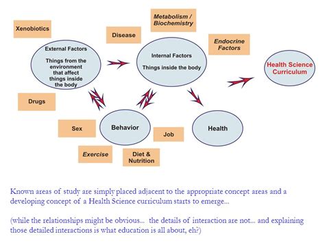 Brain-Based Learning Is the Foundation of Integrated Curricula C ...
