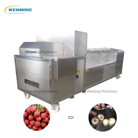 High Speed Litchi Pitting Machine Automatic Lychee Seed Removing Machi